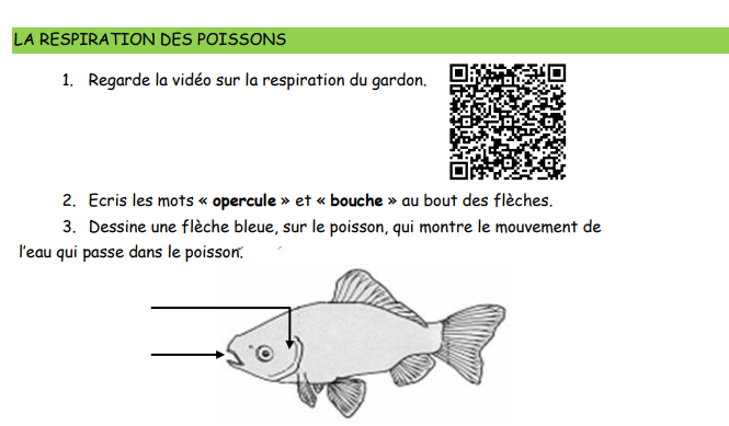 SVT La respiration du poisson-Niveau A2 – CASNAV 79