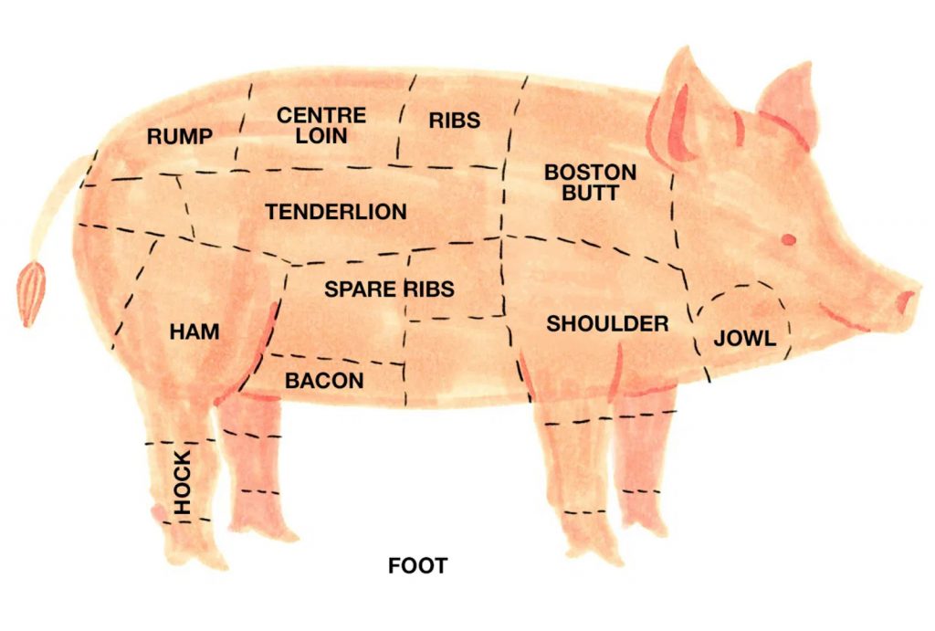 Les cochons | La gazette de Léo