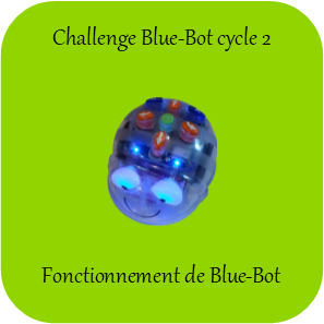 Challenge Blue-Bot cycle 2 – Robot Challenge